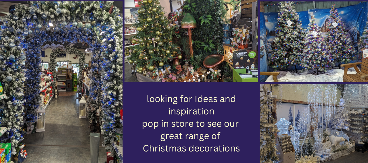 Thirsk Garden Centre | garden centre in North Yorkshire