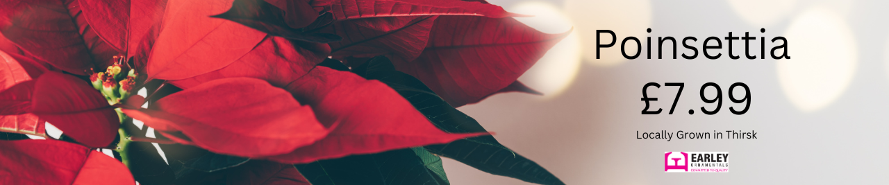 Thirsk Garden Centre | garden centre in North Yorkshire