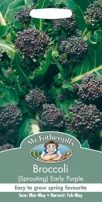UK/FO-BROCCOLI (Sprouting) Early Purple - Thirsk Garden Centre