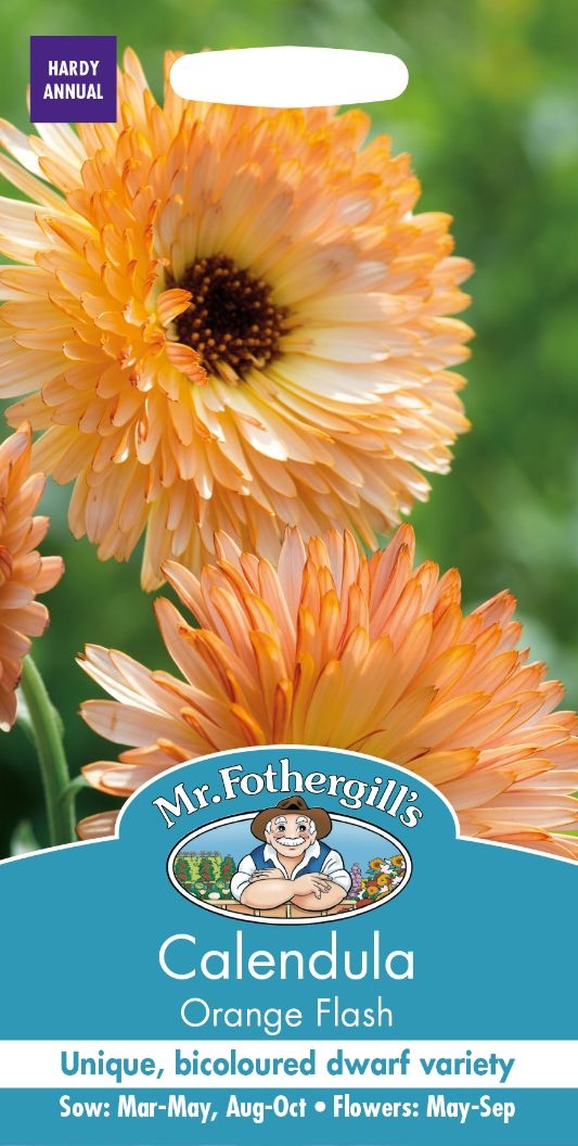 UK/FO-CALENDULA Orange Flash - Thirsk Garden Centre