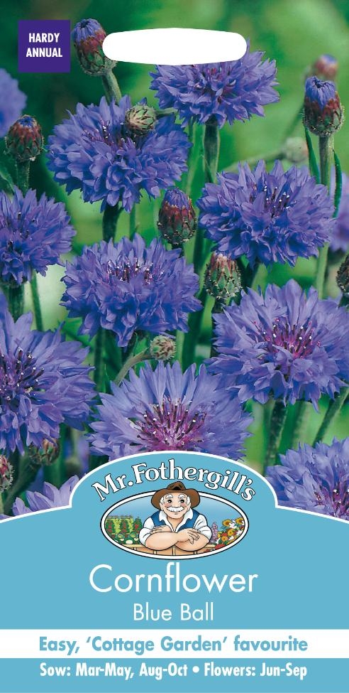 UK/FO-CORNFLOWER Blue Ball - Thirsk Garden Centre