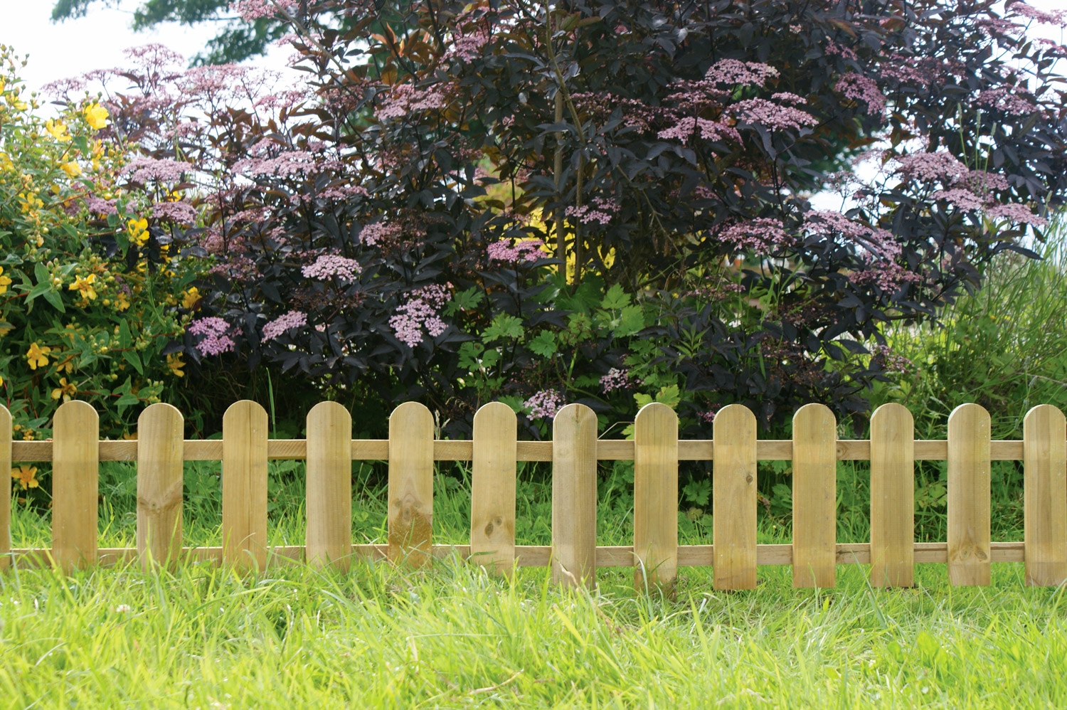 MINI PICKET 1.15M X 0.28M - Thirsk Garden Centre