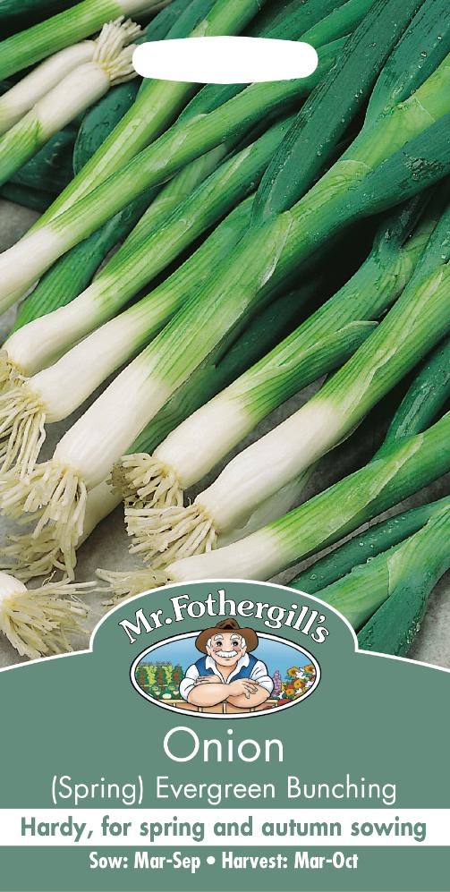 UK/FO-ONION (Spring) Evergreen Bunching - Thirsk Garden Centre