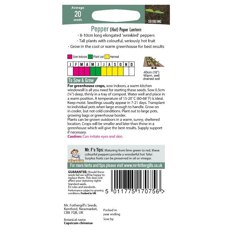 UK/FO-PEPPER (Hot) Paper Lantern - Thirsk Garden Centre