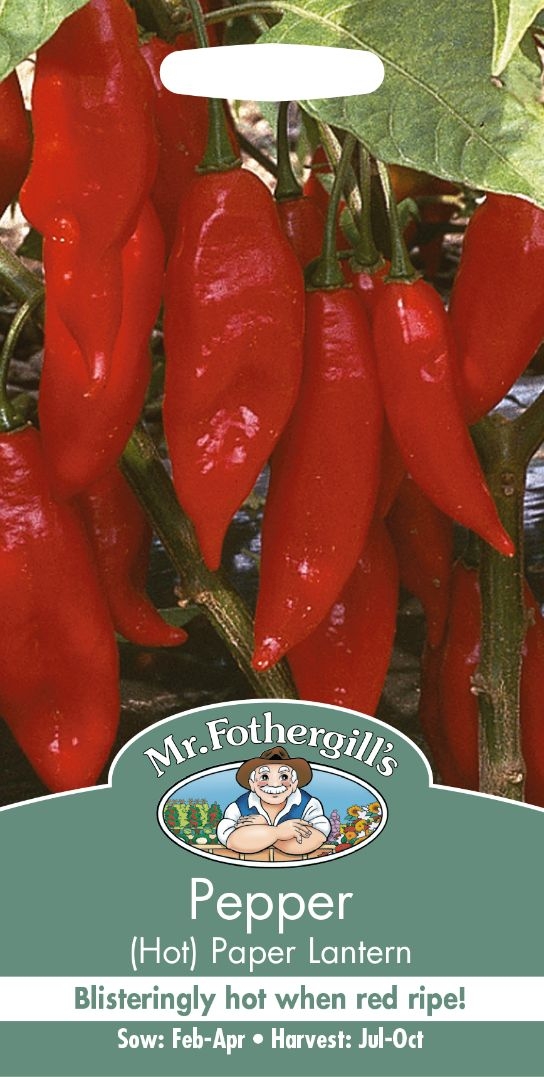 UK/FO-PEPPER (Hot) Paper Lantern - Thirsk Garden Centre