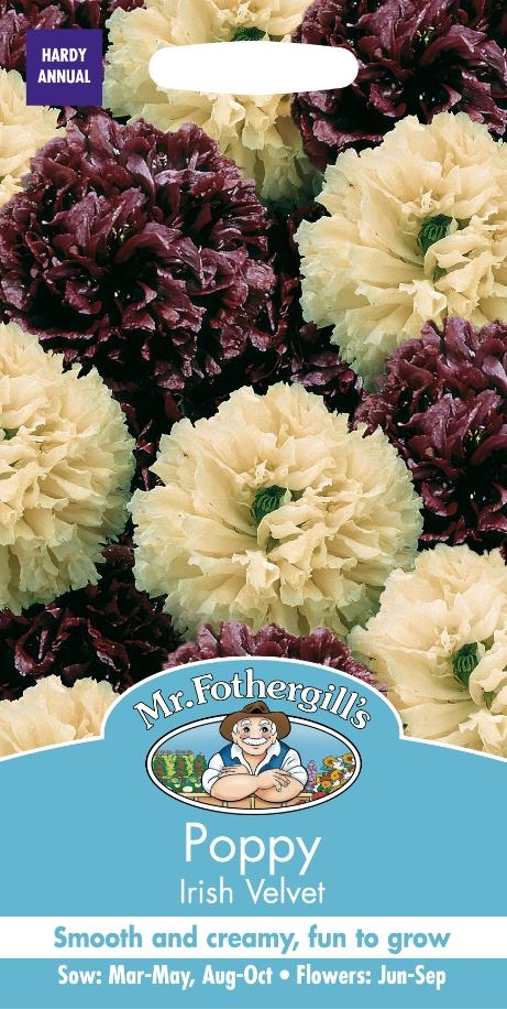 UK/FO-POPPY Irish Velvet - Thirsk Garden Centre