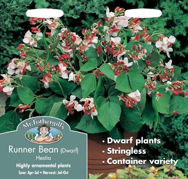 UK/FO-RUNNER BEAN (Dwarf) Hestia - Thirsk Garden Centre