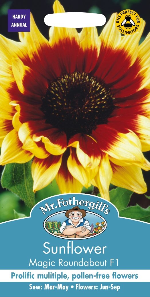 UK/FO-SUNFLOWER Magic Roundabout F1 - Thirsk Garden Centre