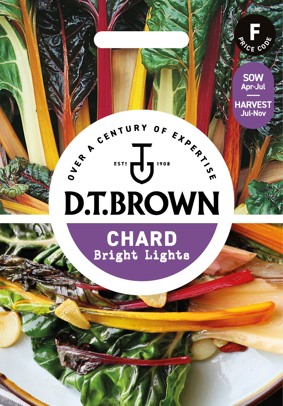 UK/DT-CHARD Bright Lights - Thirsk Garden Centre