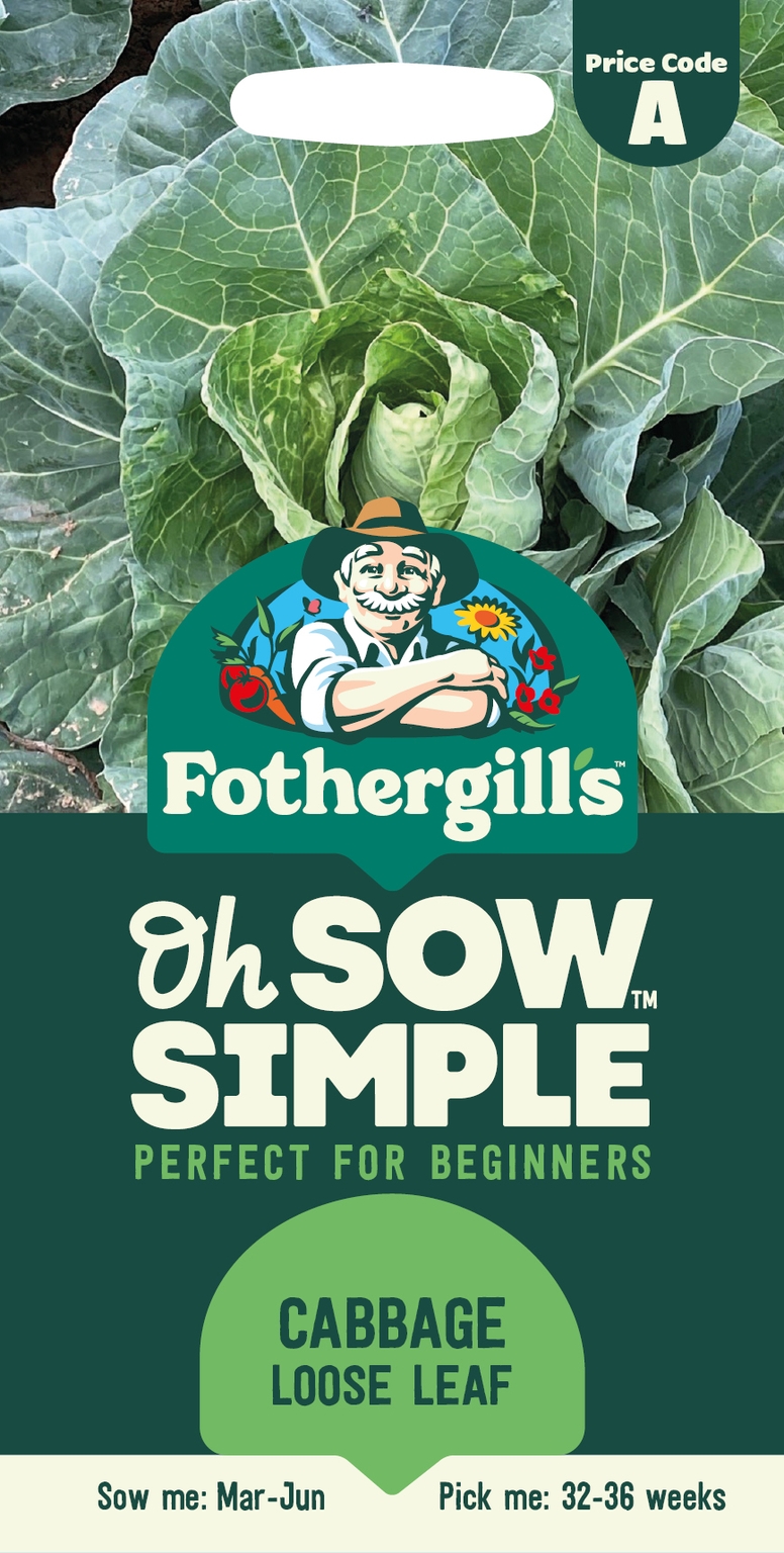 UK/FO-SS-CABBAGE Loose Leaf - Thirsk Garden Centre