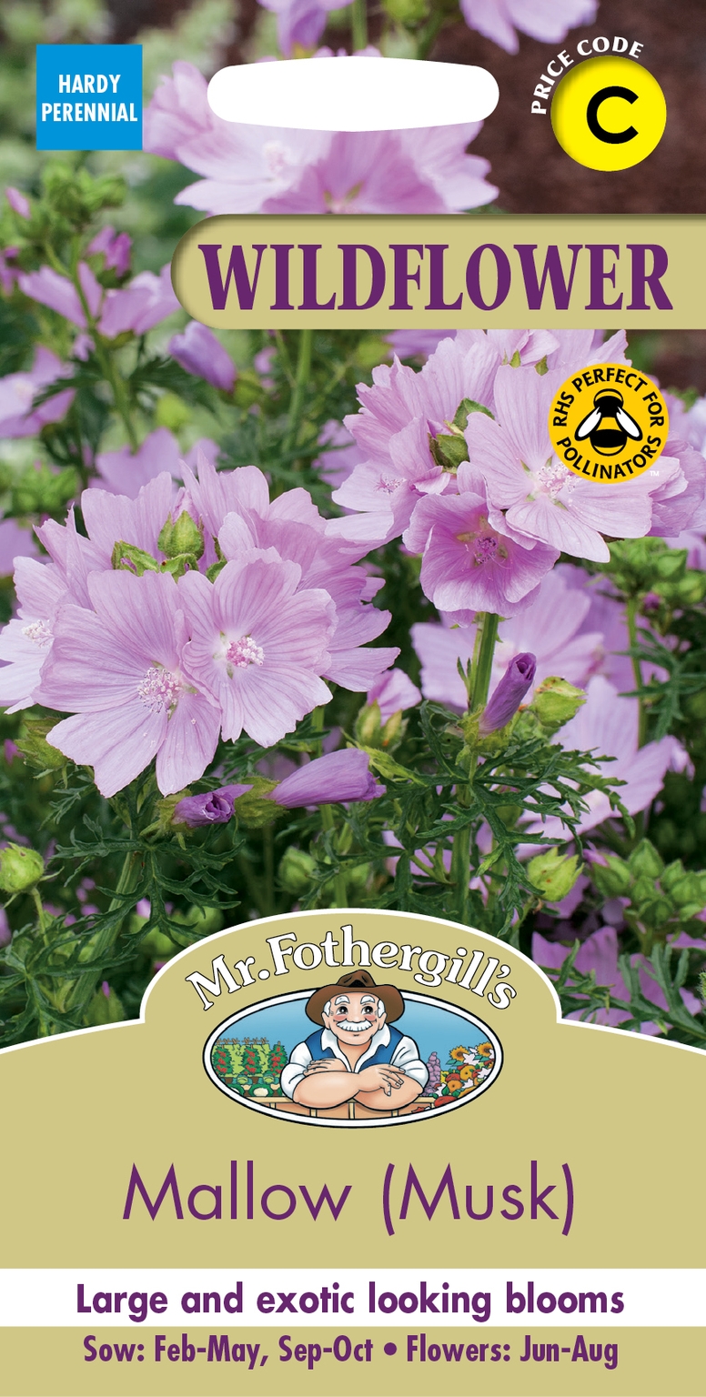 UK/FO-WF-Mallow (Musk) - Thirsk Garden Centre