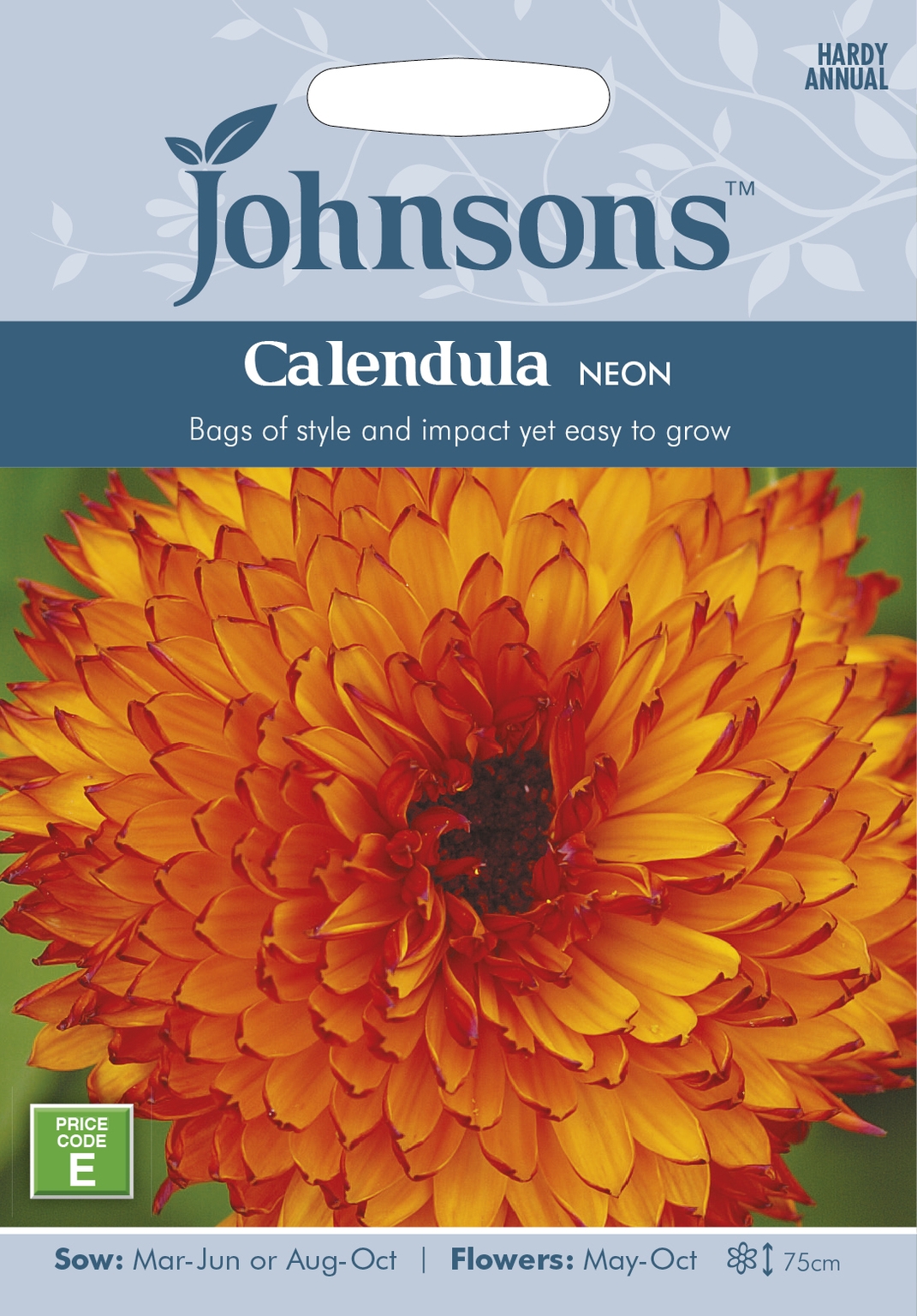 UK/JO-CALENDULA Pot Marigold Nova - Thirsk Garden Centre
