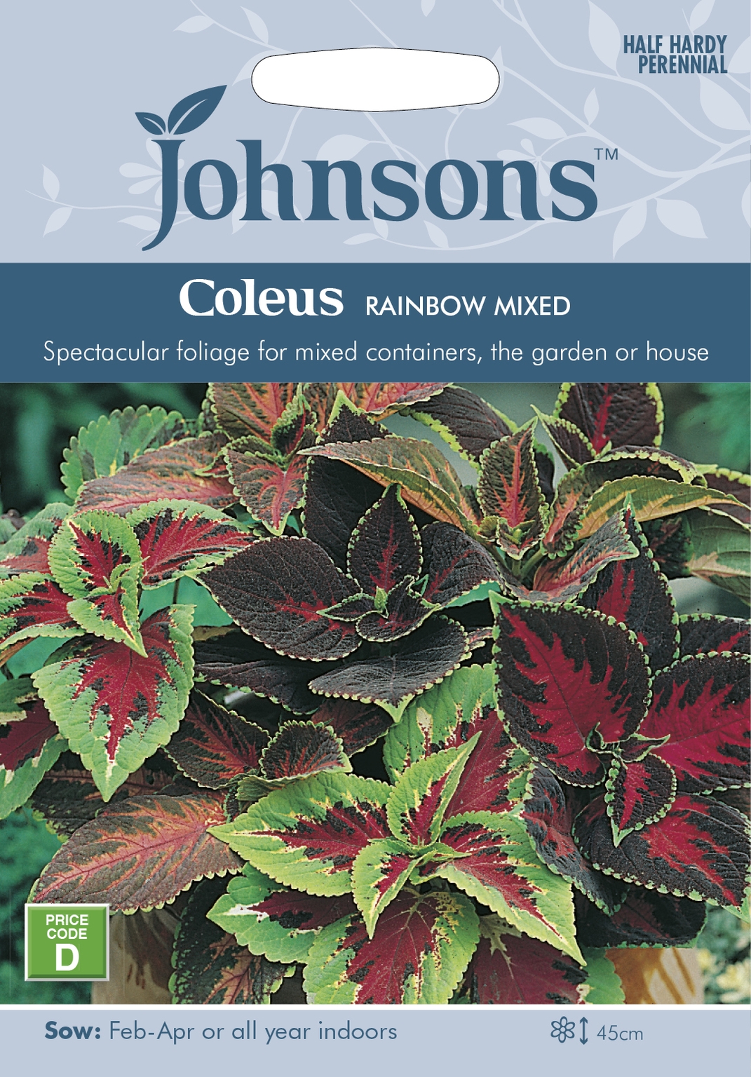 UK/JO-COLEUS Rainbow Mixed - Thirsk Garden Centre