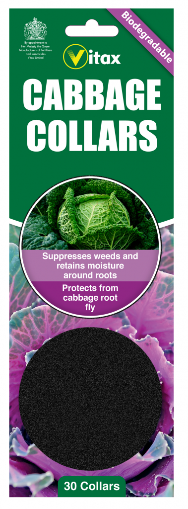 Vitax Cabbage Collars Pack 30 - Thirsk Garden Centre